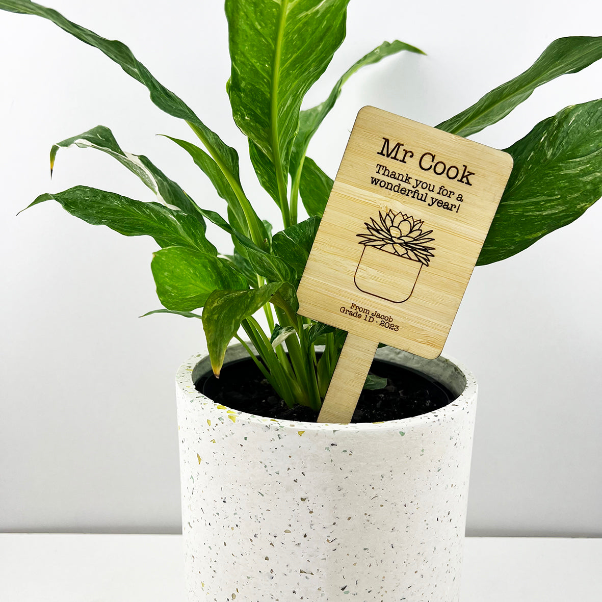 Thank You Teacher Planter Stick (4 designs) - Colour and Spice Pty Ltd