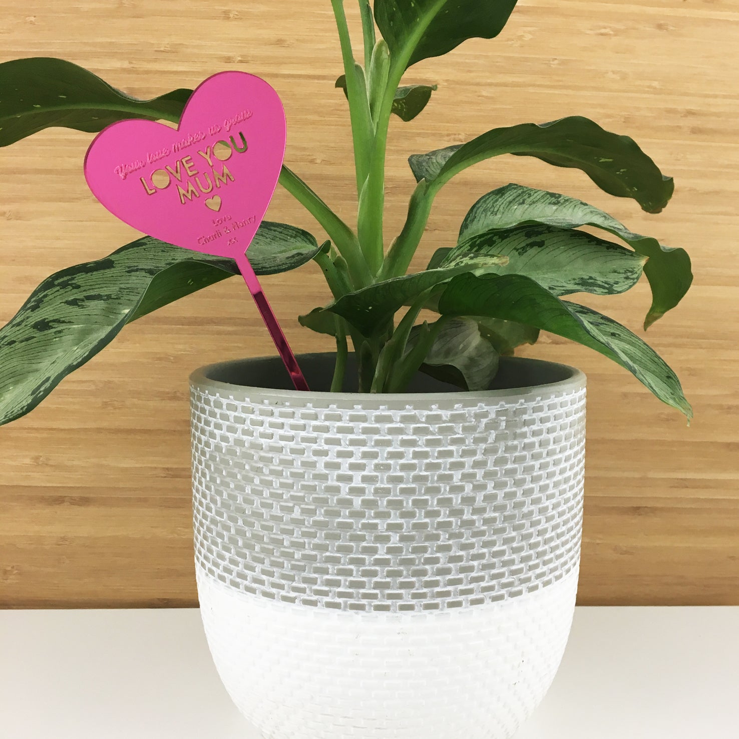 Your Love Makes Us Grow Heart Stem - Acrylic - Colour and Spice Pty Ltd